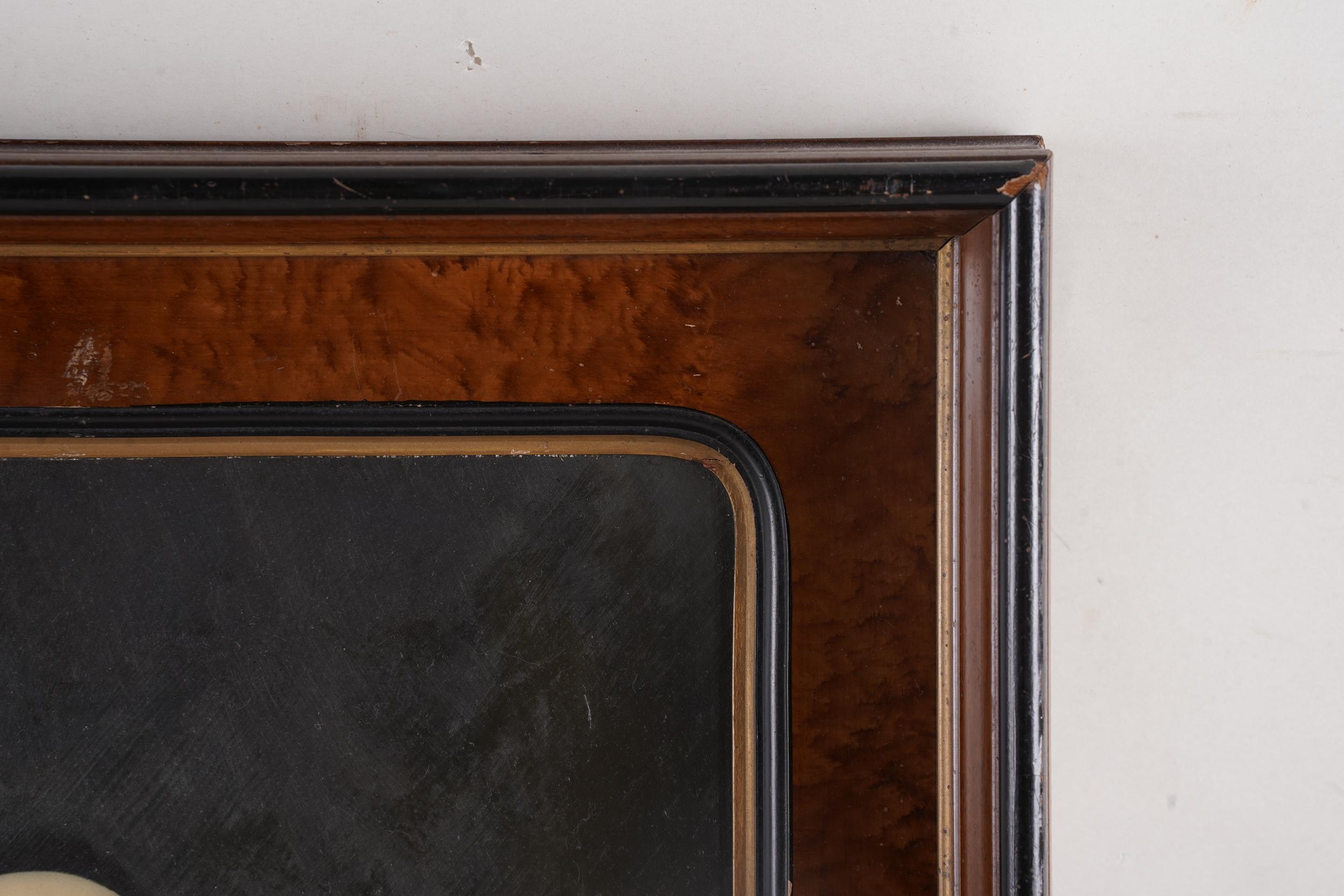 David Brega | : STILL LIFE WITH EGG | MutualArt