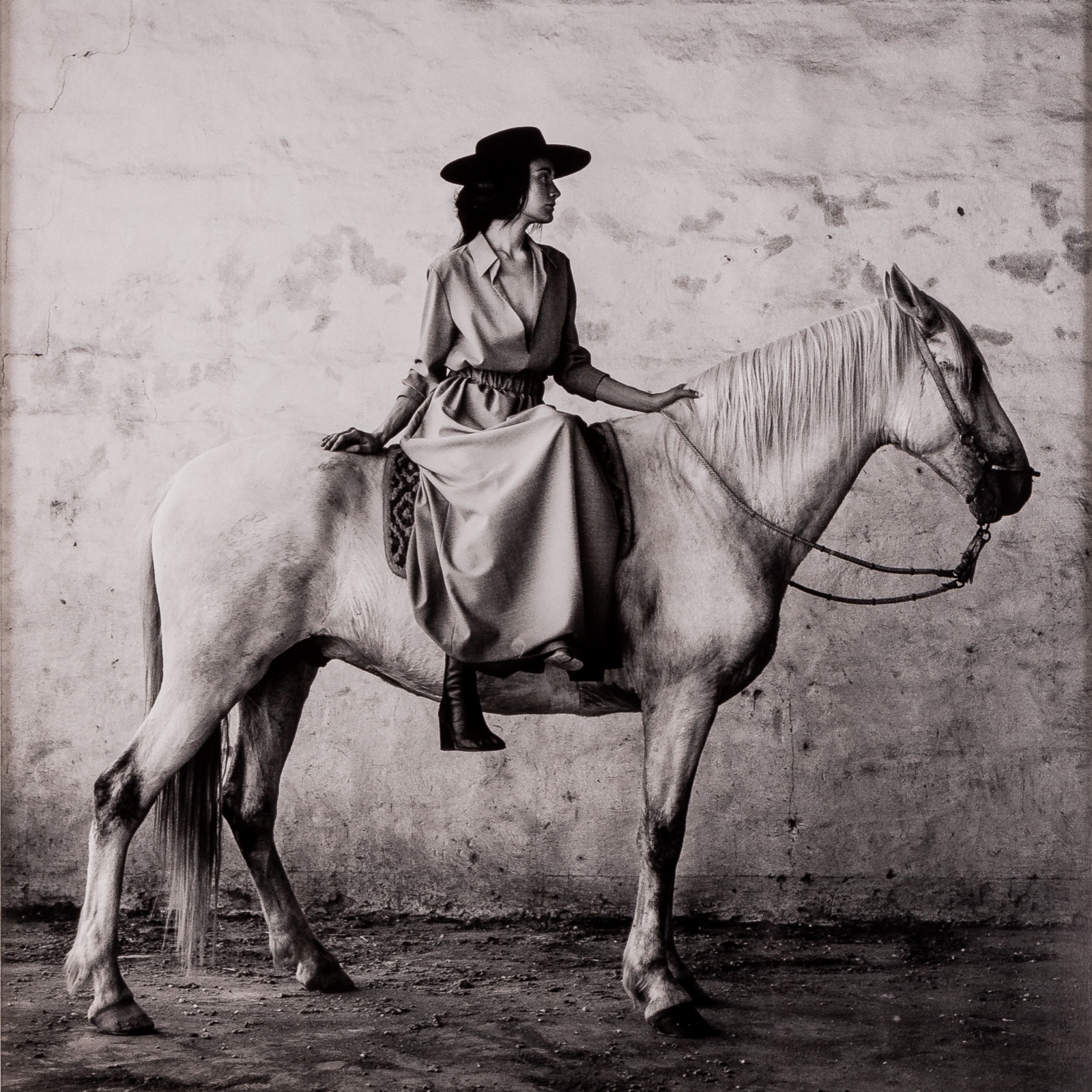 Anne Menke | Horse in Argentina | MutualArt