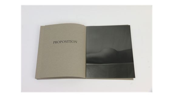 Jean-Philippe Reverdot | PROPOSALS (2001) | MutualArt