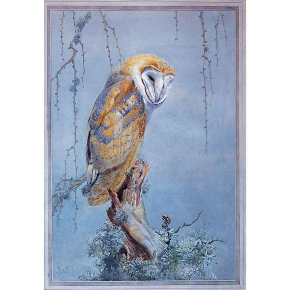 Winifred Austen | Barn Owl. (1910) | MutualArt