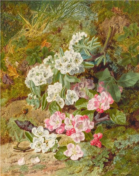 Thomas Worsey | A mossy woodland floor with primroses (1864) | MutualArt