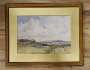 Charles Pigott | Sheep in a landscape | MutualArt