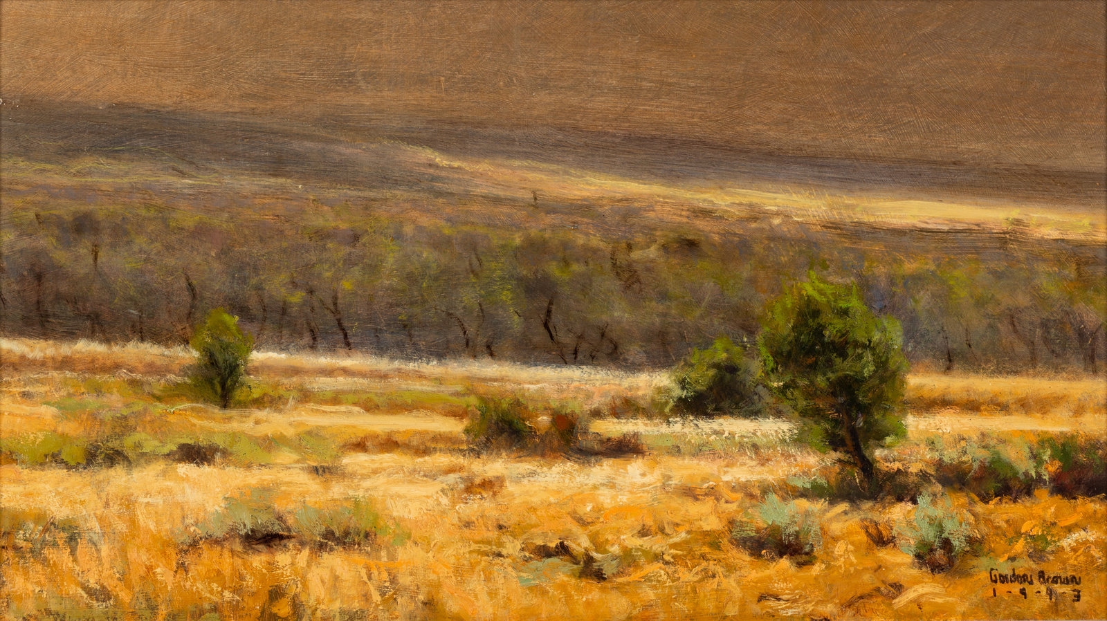Gordon Brown | Colorado Landscape (1993) | MutualArt