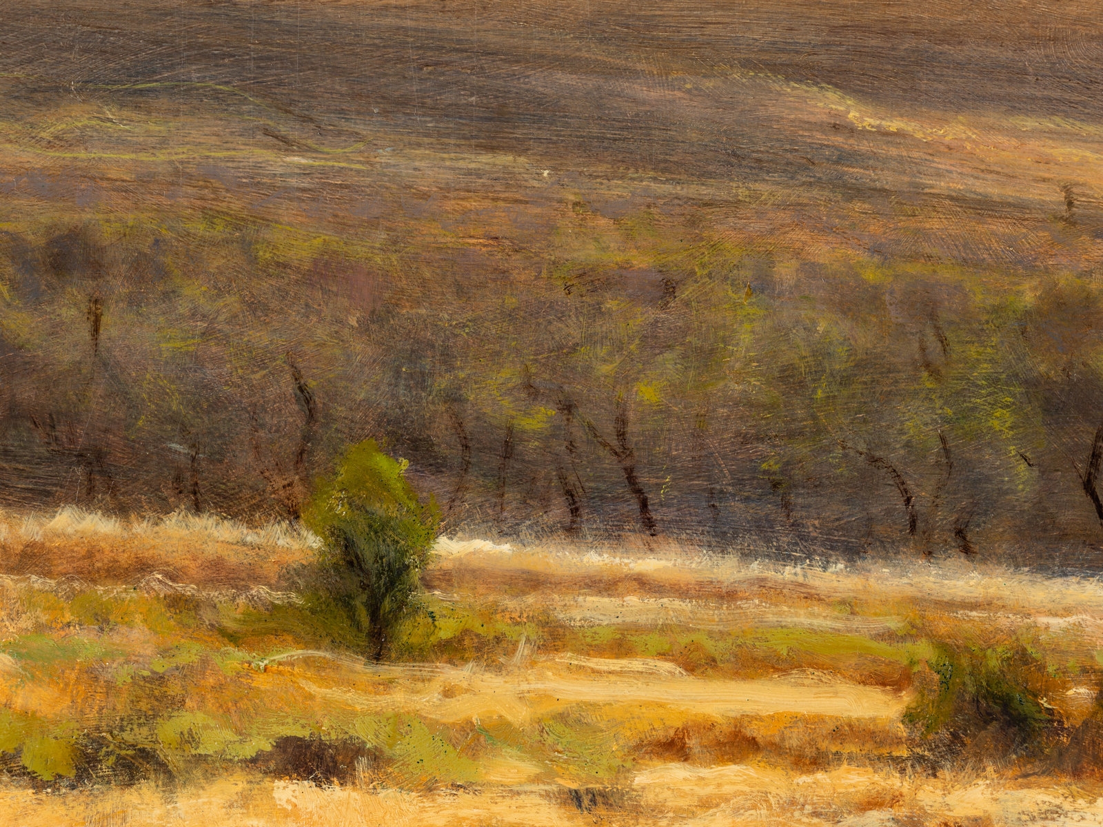 Gordon Brown | Colorado Landscape (1993) | MutualArt