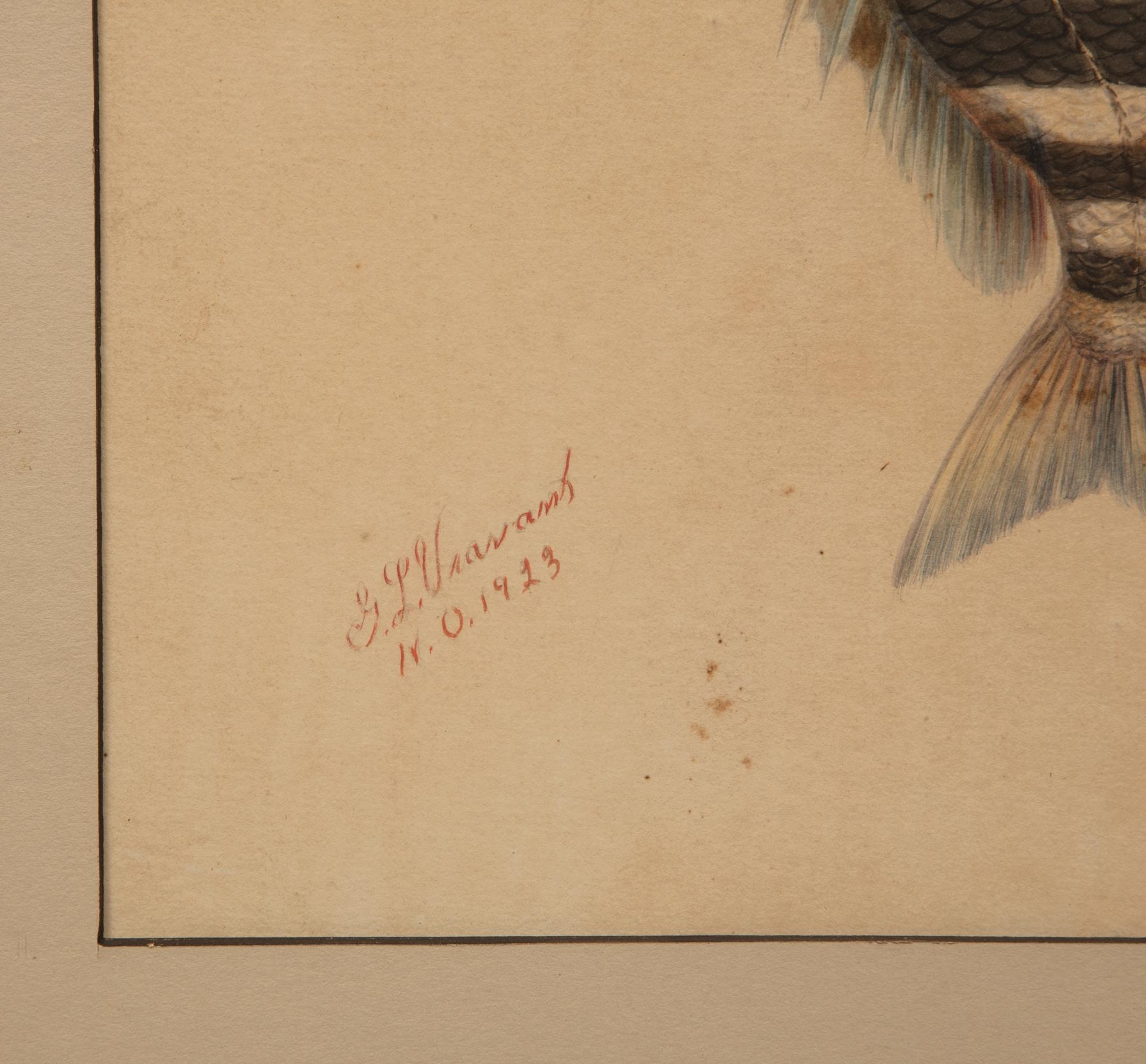 George Louis Viavant | Sheepshead (1923) | MutualArt