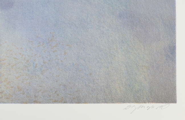 David Suff | The Walled Garden at Nymans (1987) | MutualArt