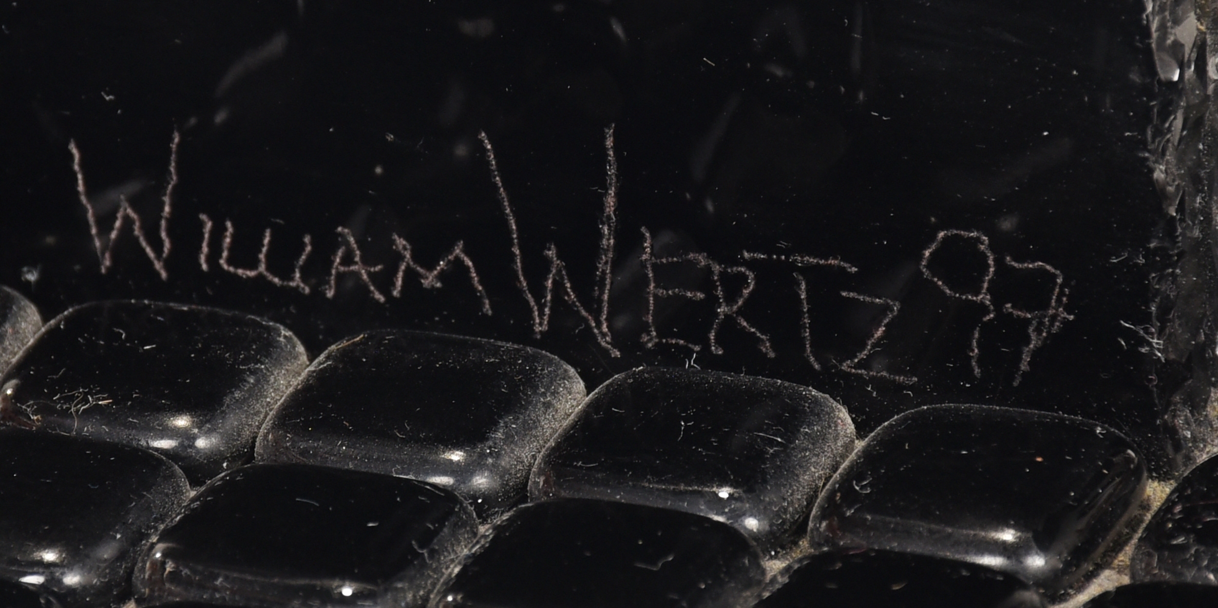 William Wertz | Custom Order Fender Guitar (1997) | MutualArt