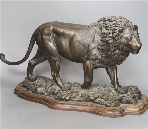 Tim Nicklin | Prowling lion | MutualArt