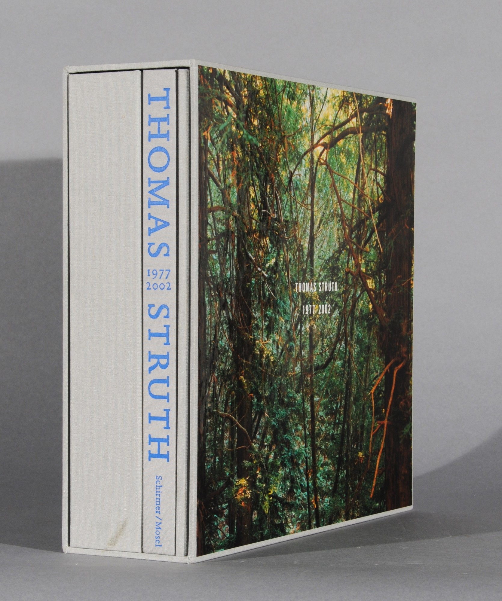 Thomas Struth | Dallas Museum of Art (1977 - 2002) | MutualArt