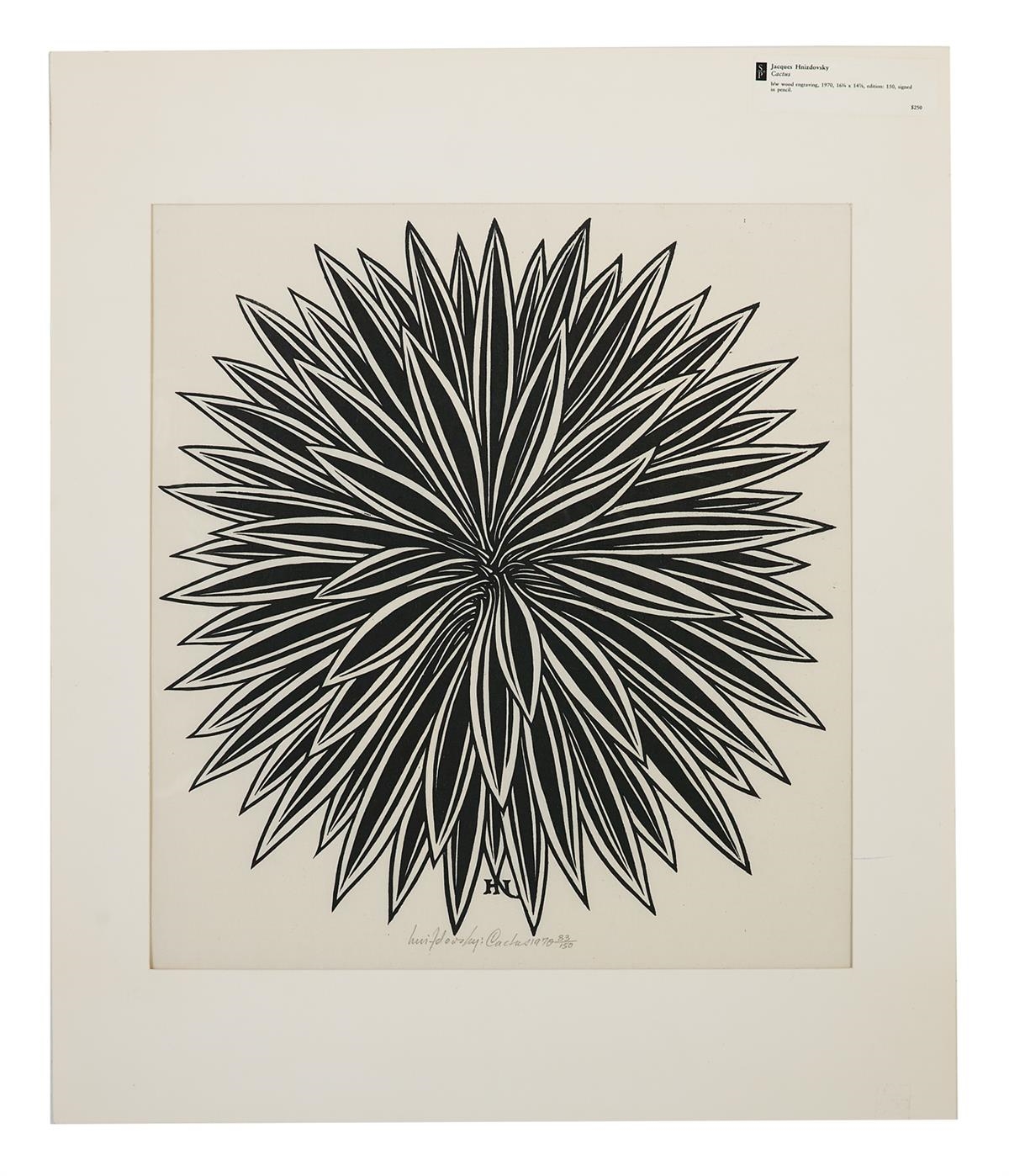 Jacques Hnizdovsky | ''Geogenanthus'' (1972) | MutualArt