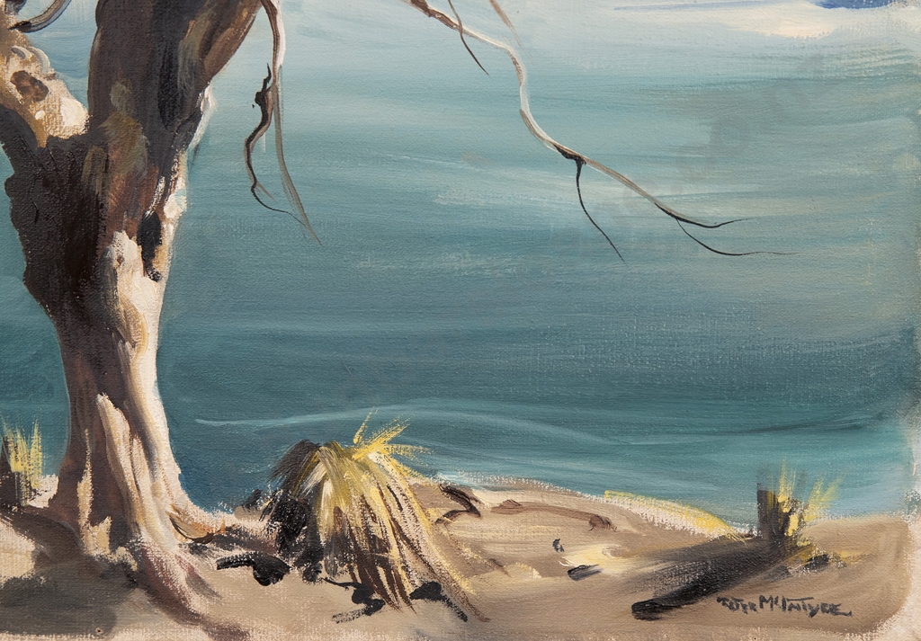 Peter McIntyre | Lake Tutira | MutualArt