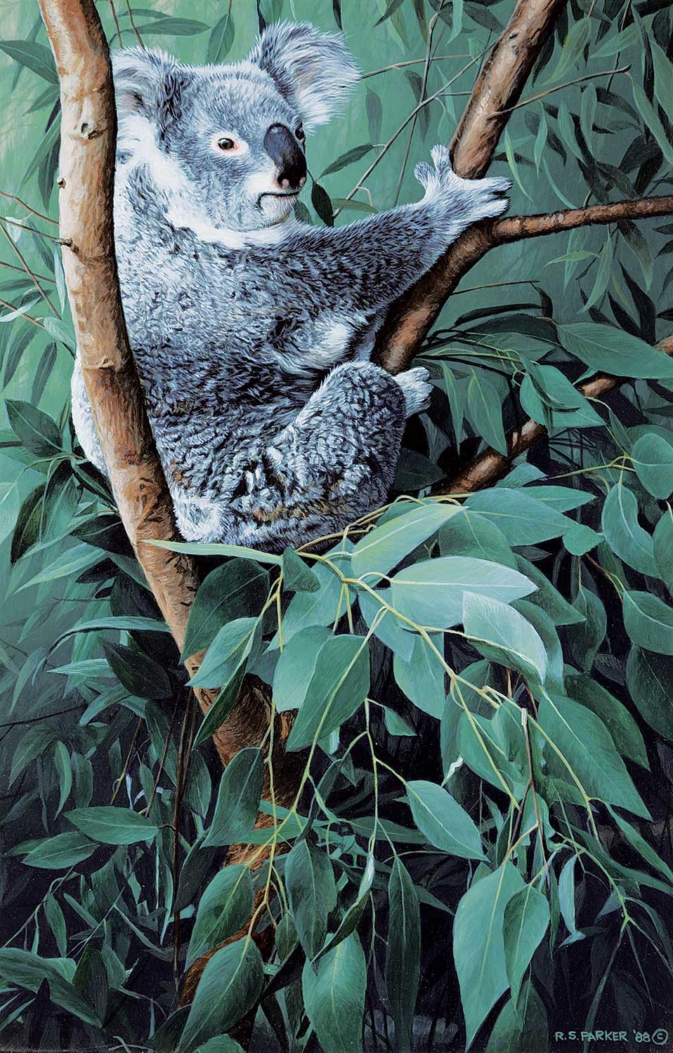 Ronald S. Parker | Koala (1988) | MutualArt