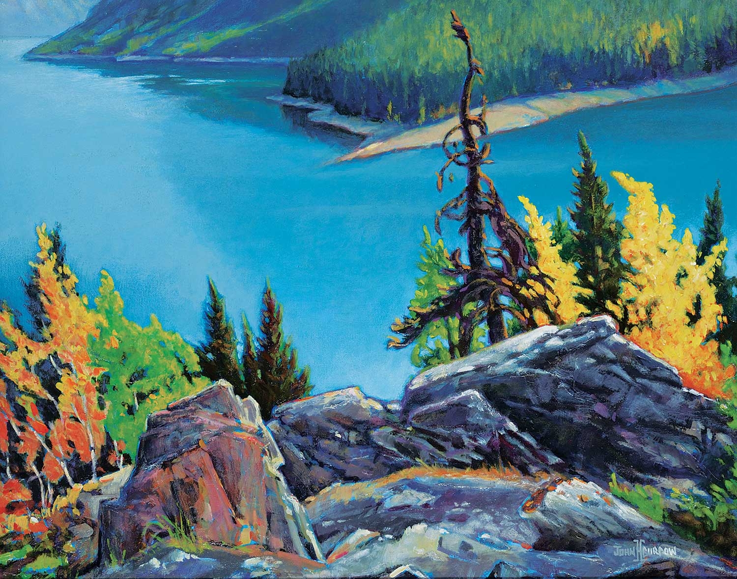John H. Burrow | Lake Minnewanka Viewpoint | MutualArt