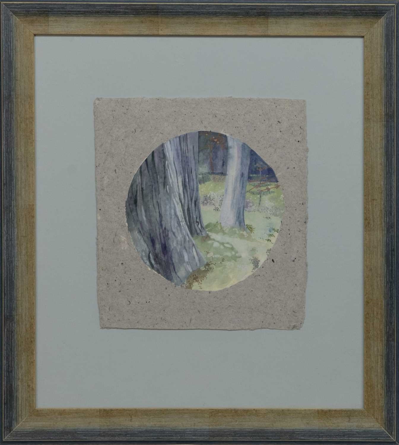 Brenda Lenaghan | TREE TRUNKS | MutualArt