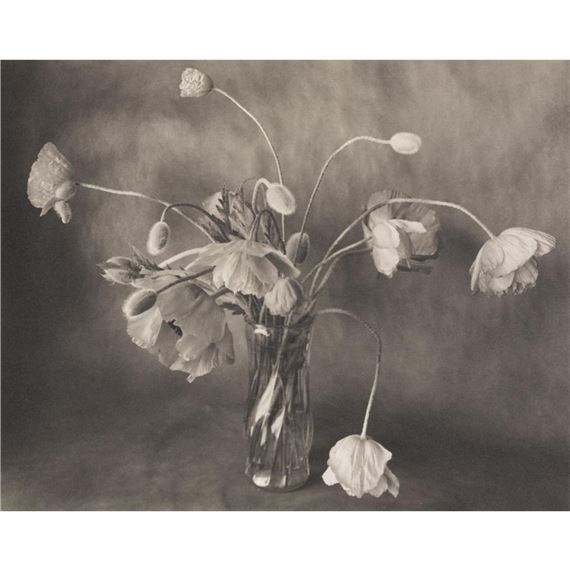 Robert Shepherd | 5 Artworks at Auction | MutualArt