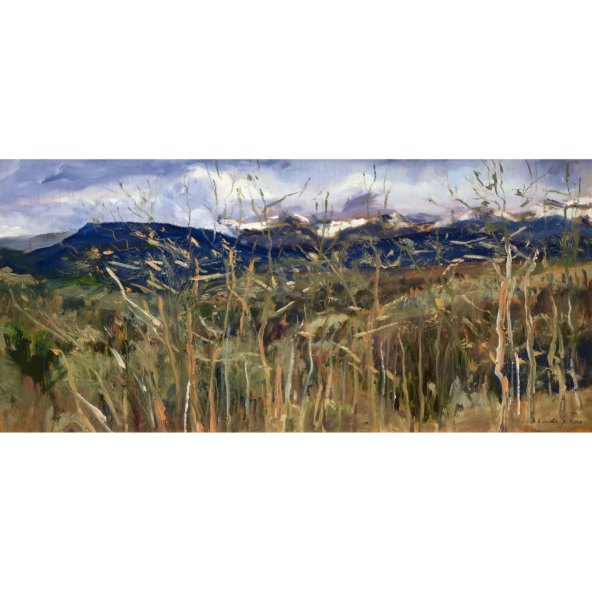 Linda J. Ross | PINCHIN'S VIEW (1991) | MutualArt