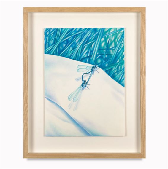 Signe Ralkov | Biography