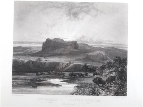 Karl Bodmer | Herd of Bison's (Circa 1839) | MutualArt