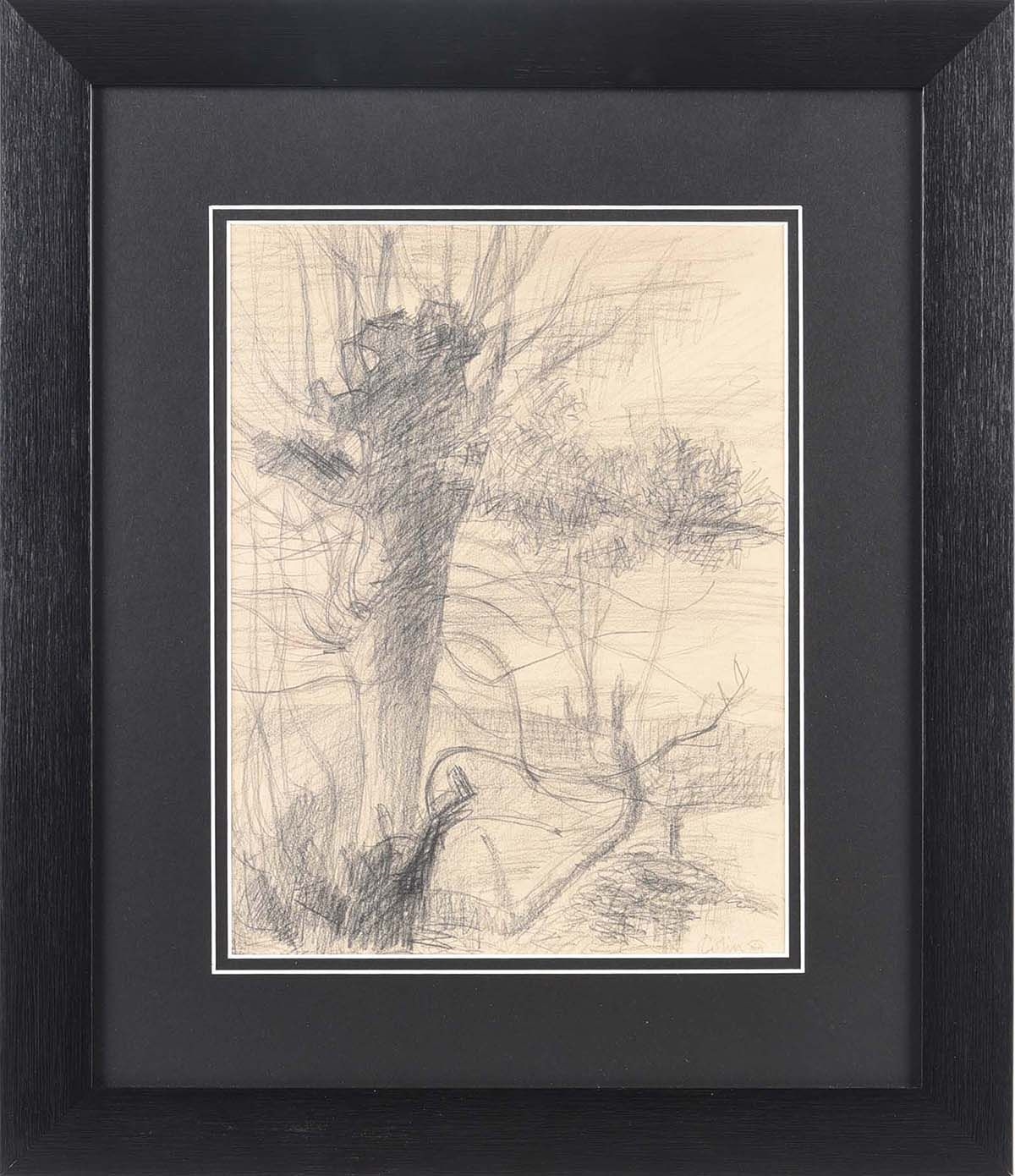 Colin Middleton | TREES IN A LANDSCAPE | MutualArt