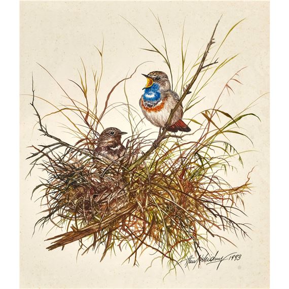 Hubert Weidinger | Blaukehlchenpaar mit Nest. (1993) | MutualArt
