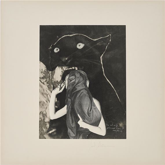 Sarah Schumann | Untitled (The cat only grinned when it saw Alice ...