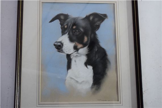 Peter J. Rowles Chapman | Portrait of a Border Collie | MutualArt
