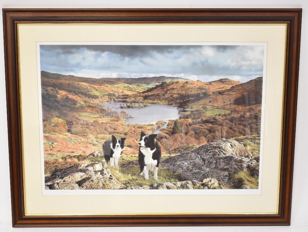Steven Townsend | depicting two Border Collies on the ridge with small ...