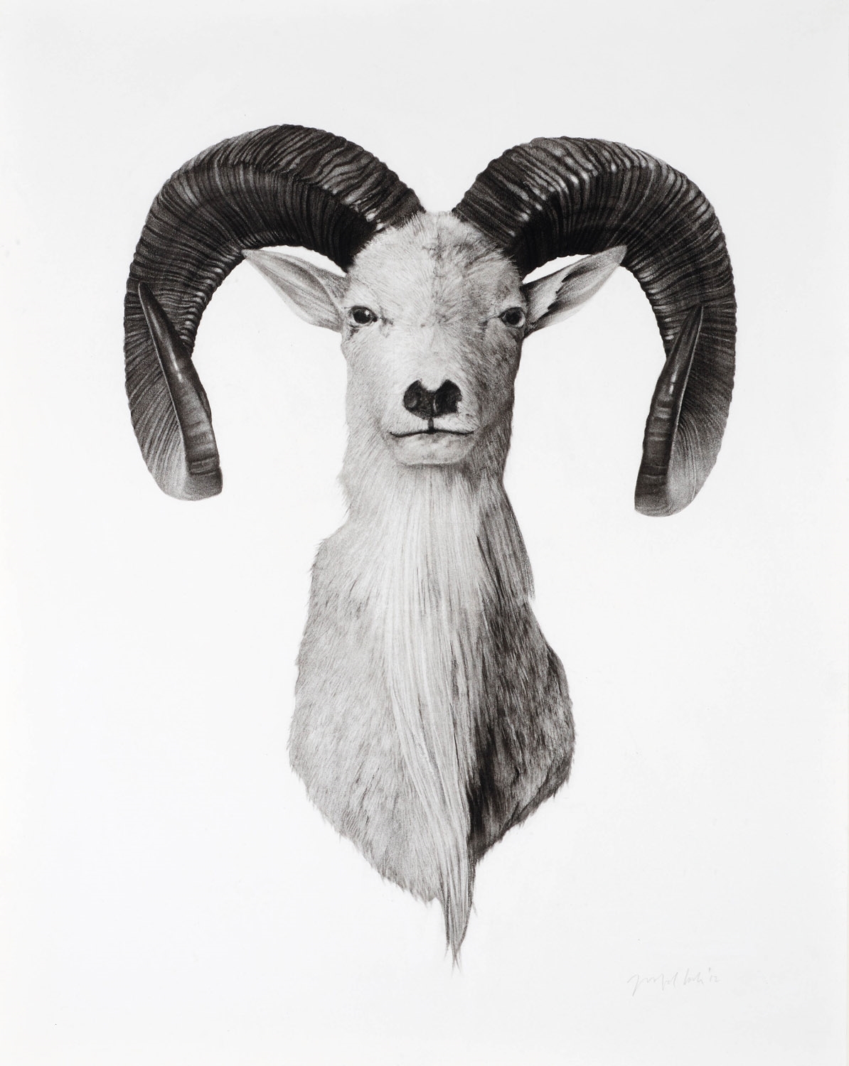 Jonathan Delafield Cook | Seed I (2002) | MutualArt