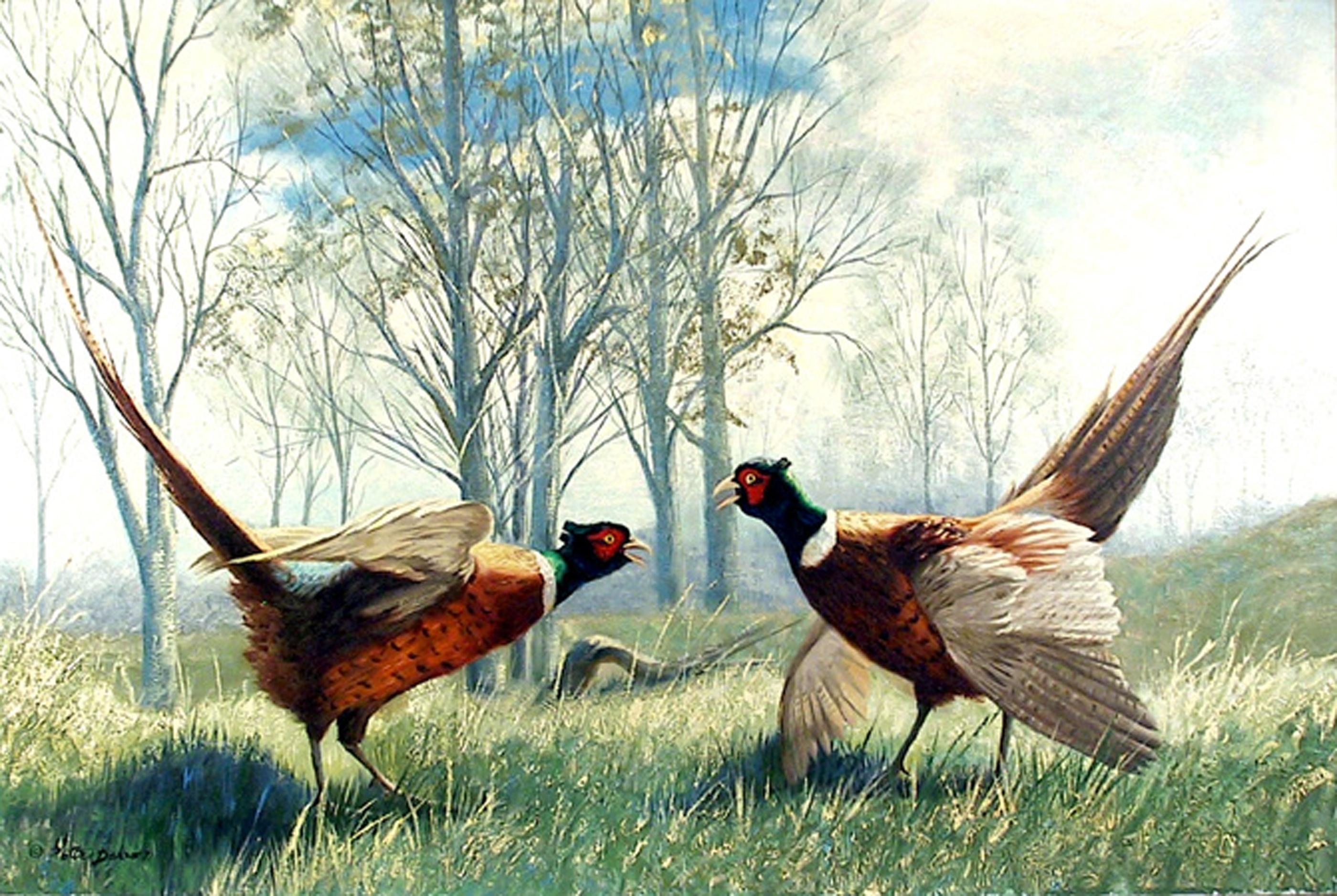 Peter Darro | Ring-necked Pheasants (1971) | MutualArt