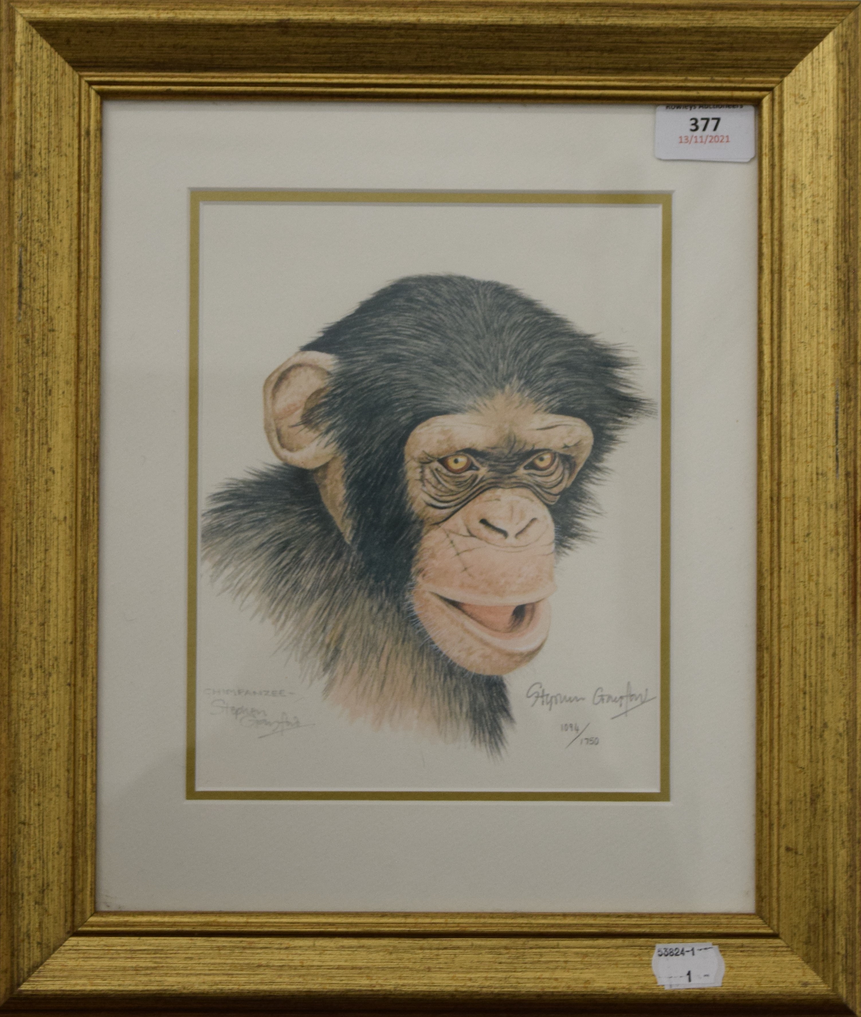 Stephen Gayford | Chimpanzee | MutualArt