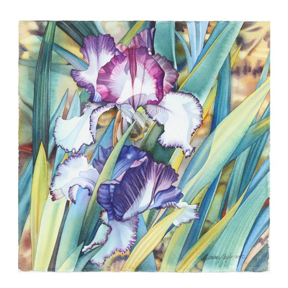 Nancy Meadows Taylor | 1 Artworks at Auction | MutualArt