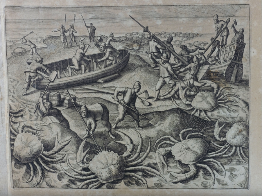 Theodor de Bry | AMERICA | MutualArt