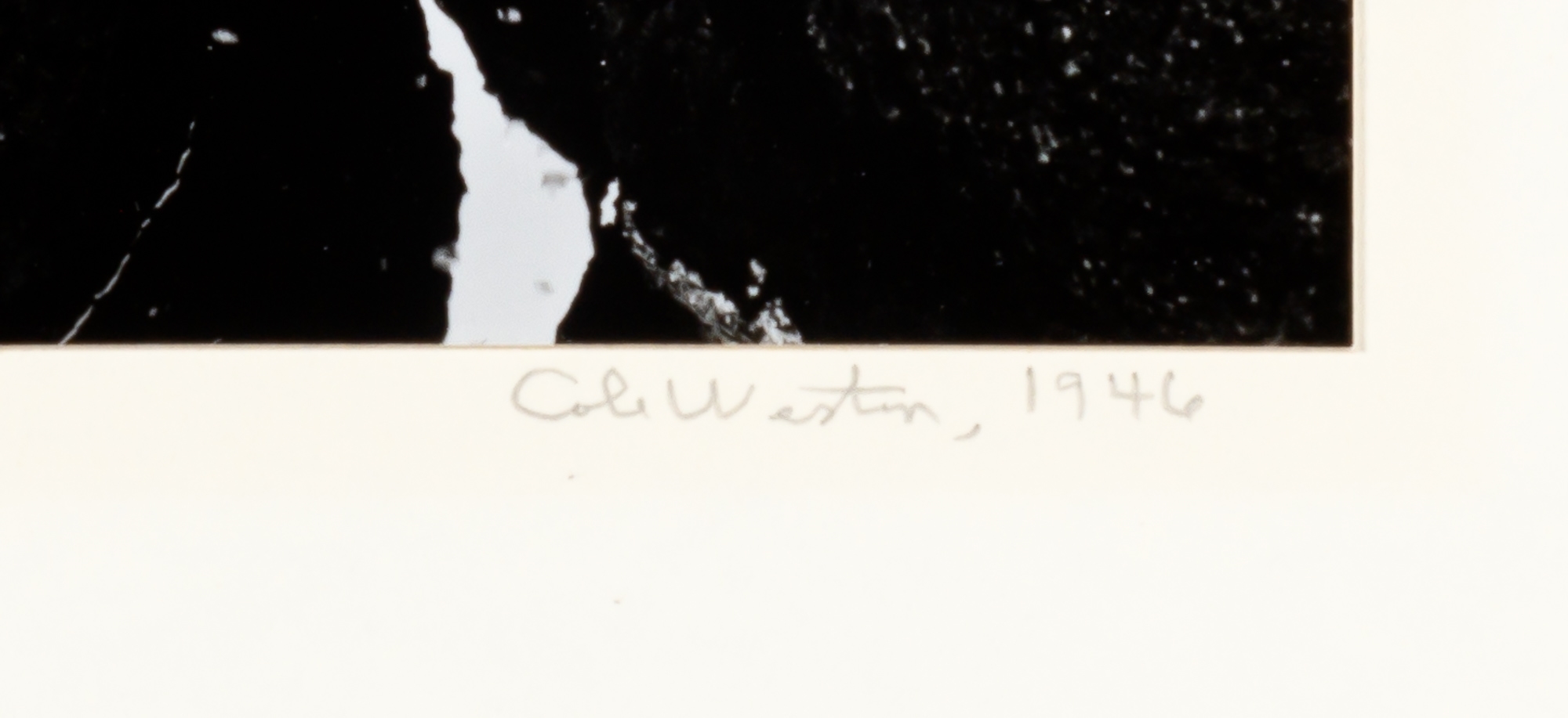 Cole Weston | Edward Weston [Point Lobos], | MutualArt