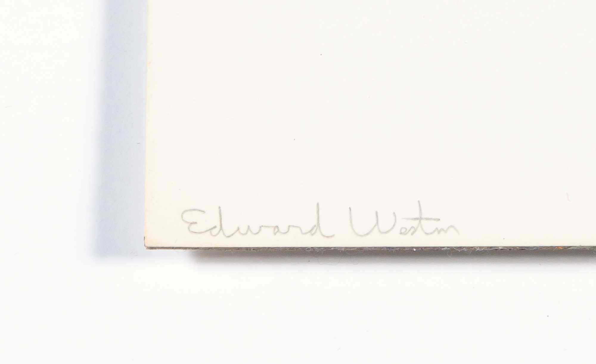 Cole Weston | Edward Weston [Point Lobos], | MutualArt