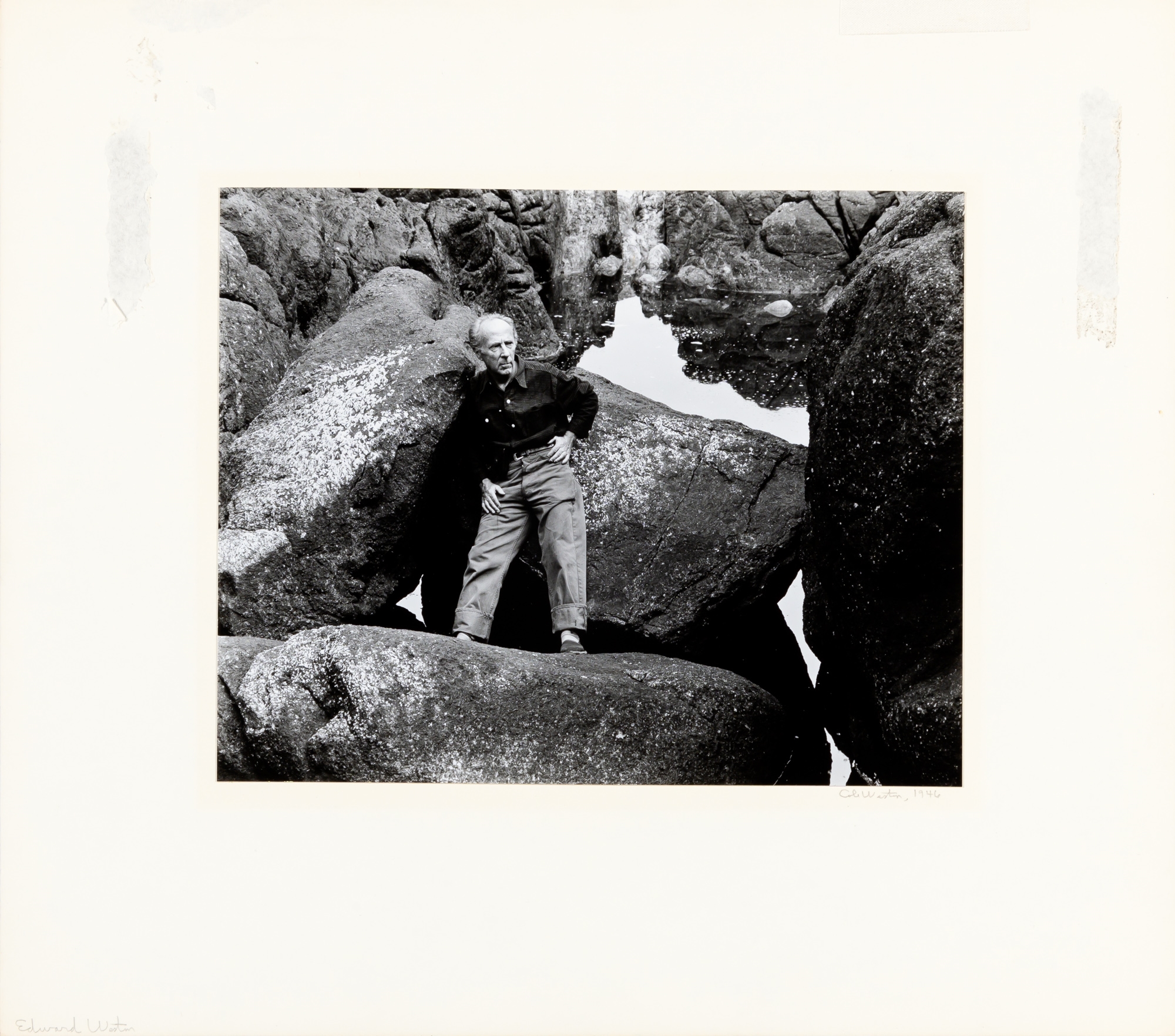 Cole Weston | Edward Weston [Point Lobos], | MutualArt