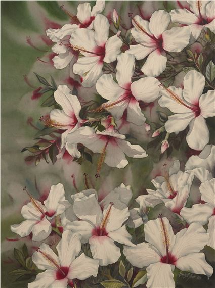 Darryl Trott | Hibiscus (1980) | MutualArt