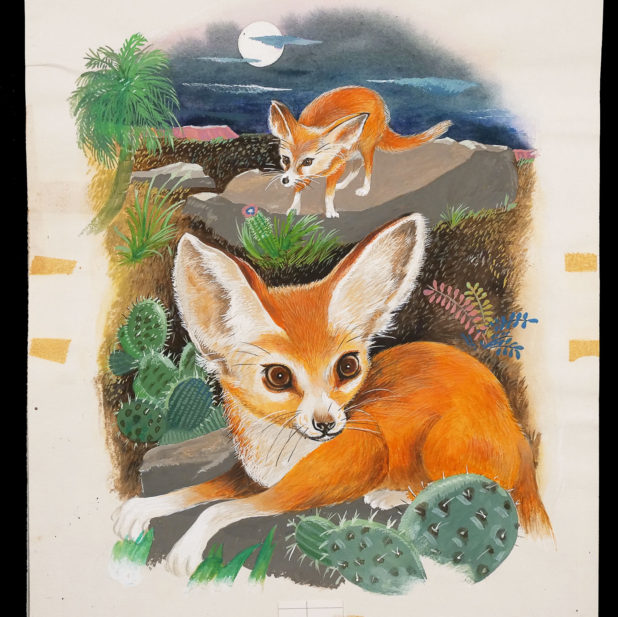 Tony Palazzo | ILLUSTRATION ART - ANIMALS | MutualArt