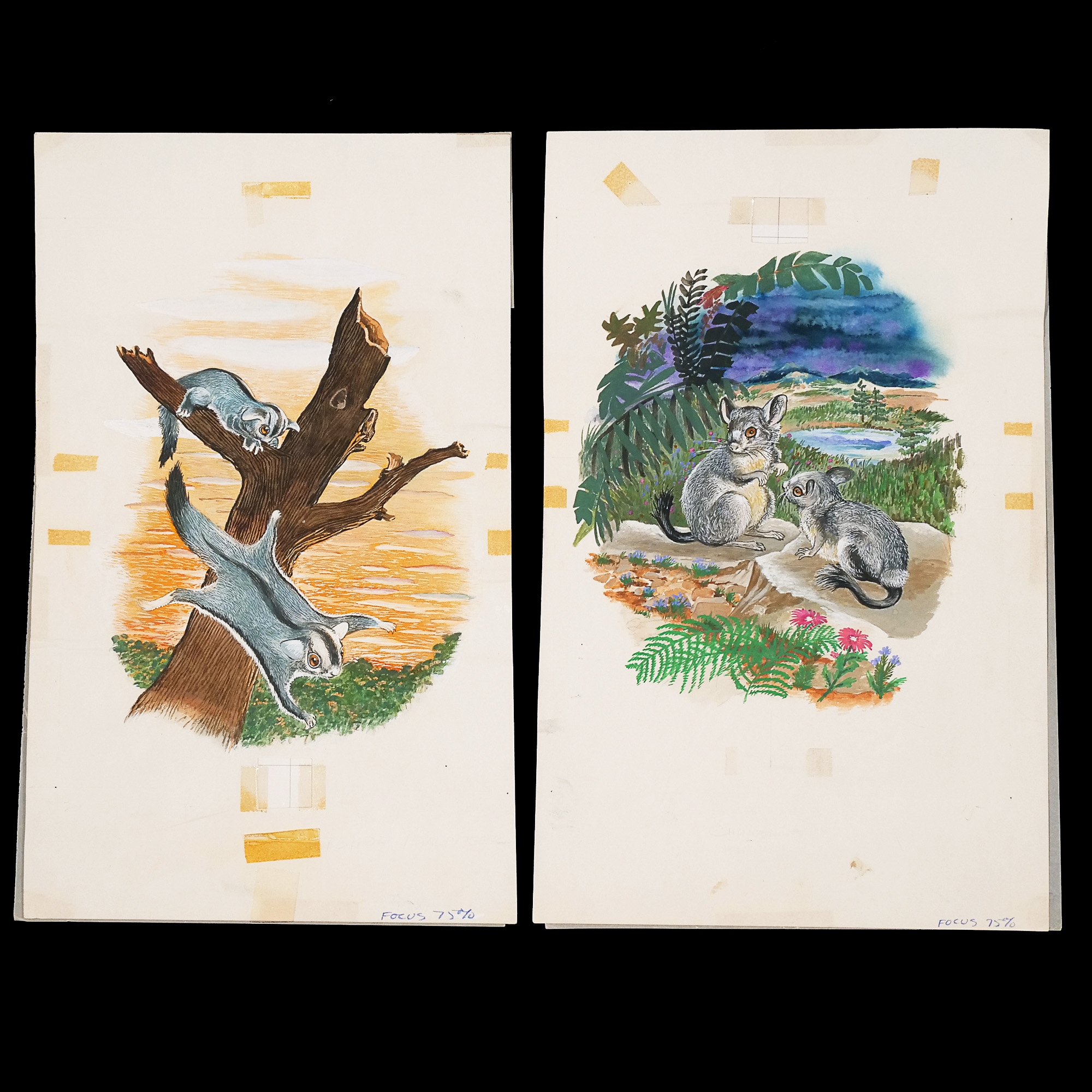 Tony Palazzo | ILLUSTRATION ART - ANIMALS | MutualArt