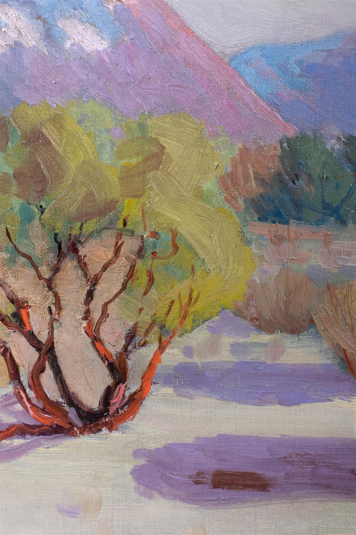Robert Gilder | TUCSON LANDSCAPE | MutualArt