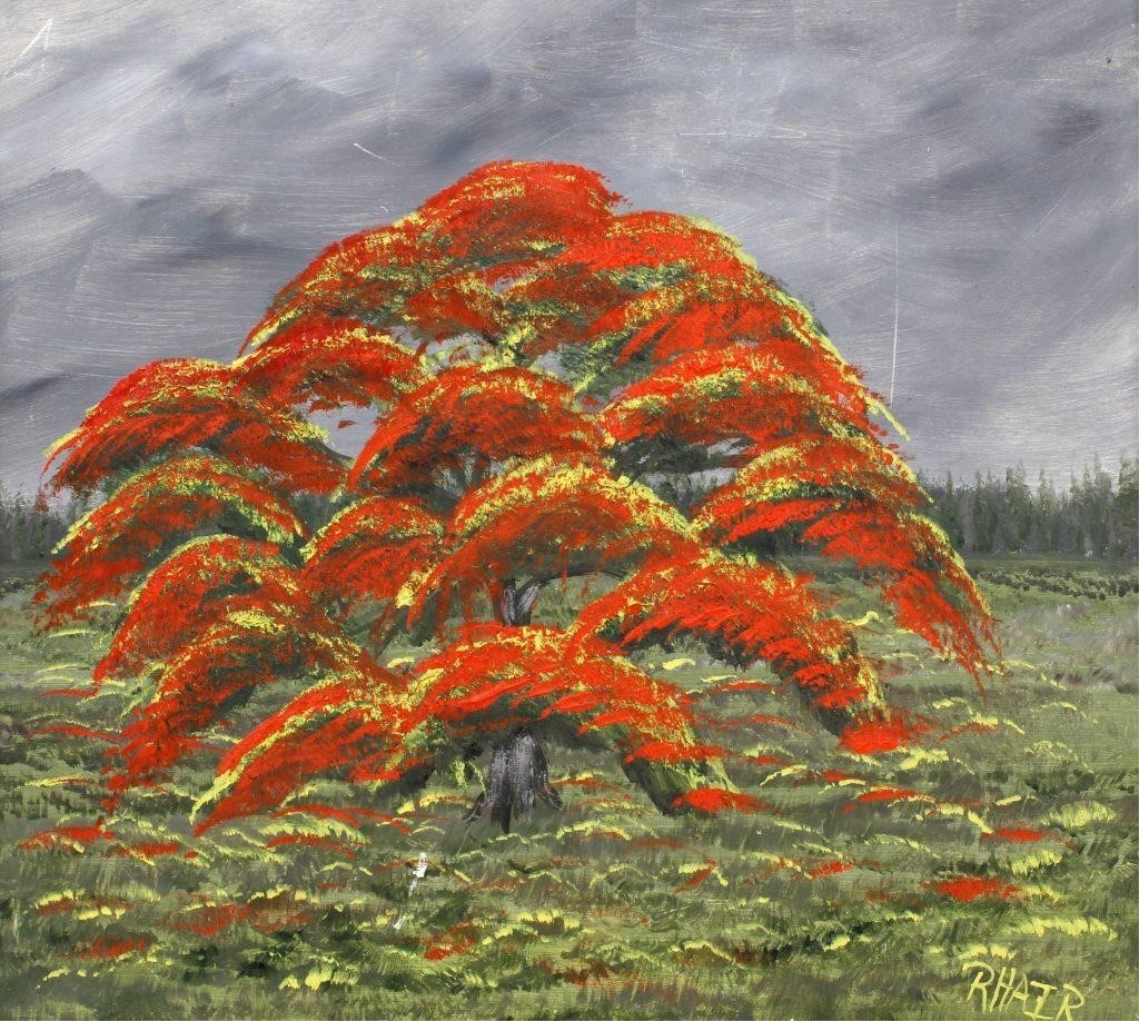 Roderick Hair | STORMY POINCIANA | MutualArt