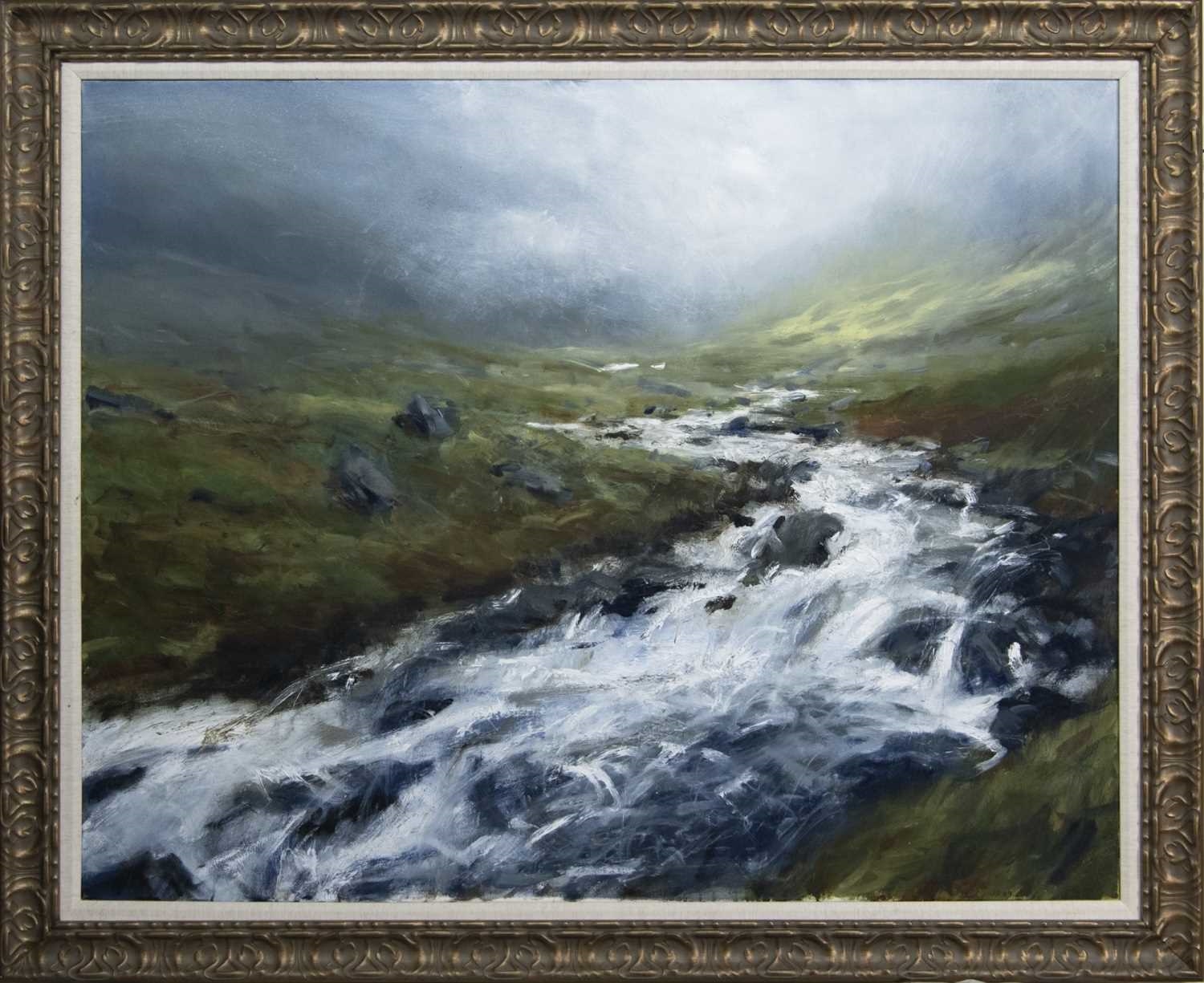 Jonathan Shearer | HIGHLAND RIVER IN SPATE (2009) | MutualArt