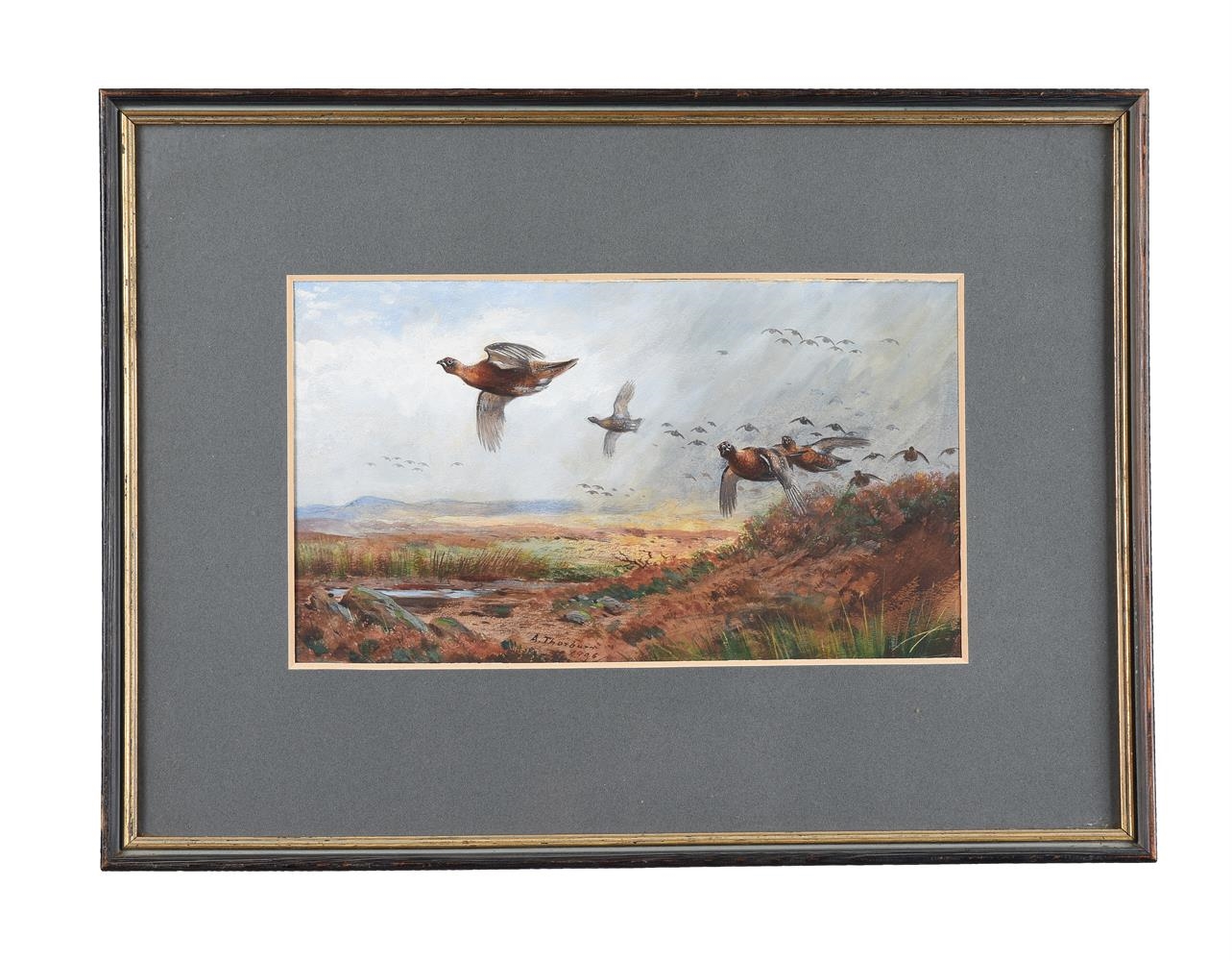 Archibald Thorburn | Archibald Thorburn (1906) | MutualArt