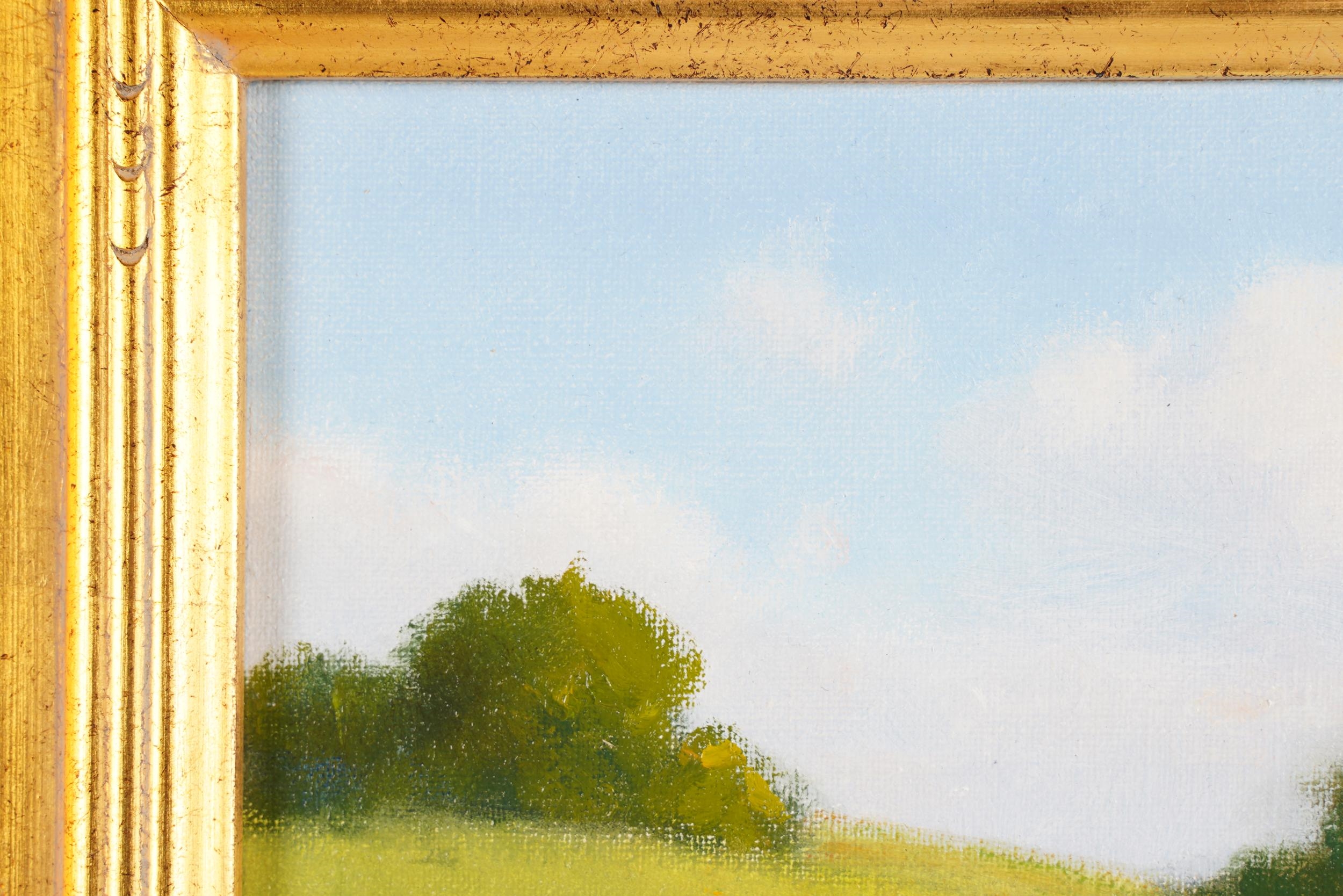 David Chapple | : FLOWERING HILLSIDE | MutualArt