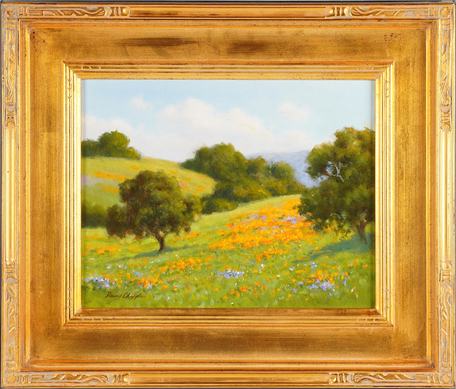 David Chapple | : FLOWERING HILLSIDE | MutualArt