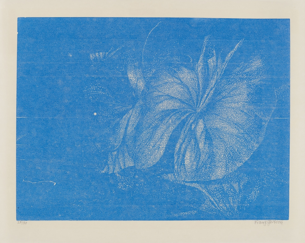 Franz Gertsch | Teichrosenblatt (2006) | MutualArt