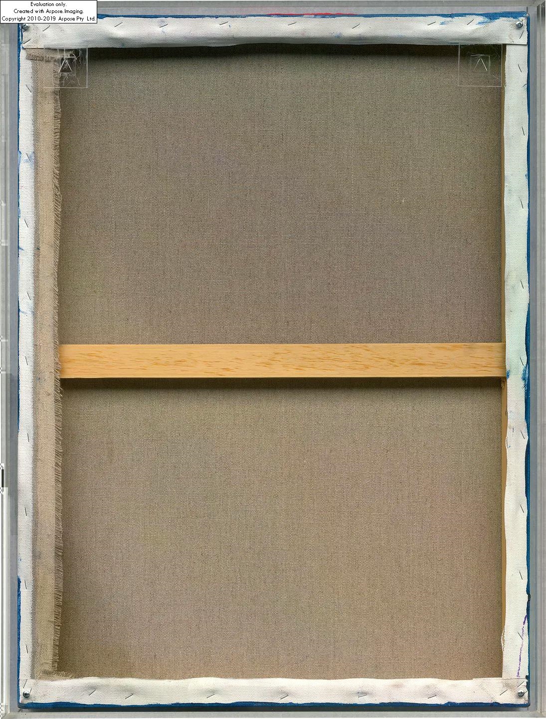 Huang Yuxing | Champion (2017) | MutualArt