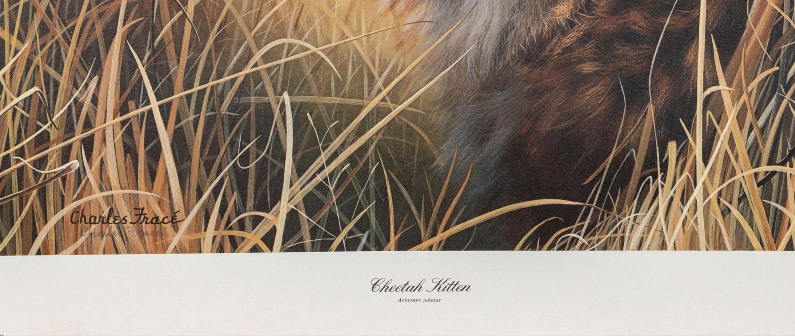 Charles Frace | Cheetah Kitten (1974) | MutualArt