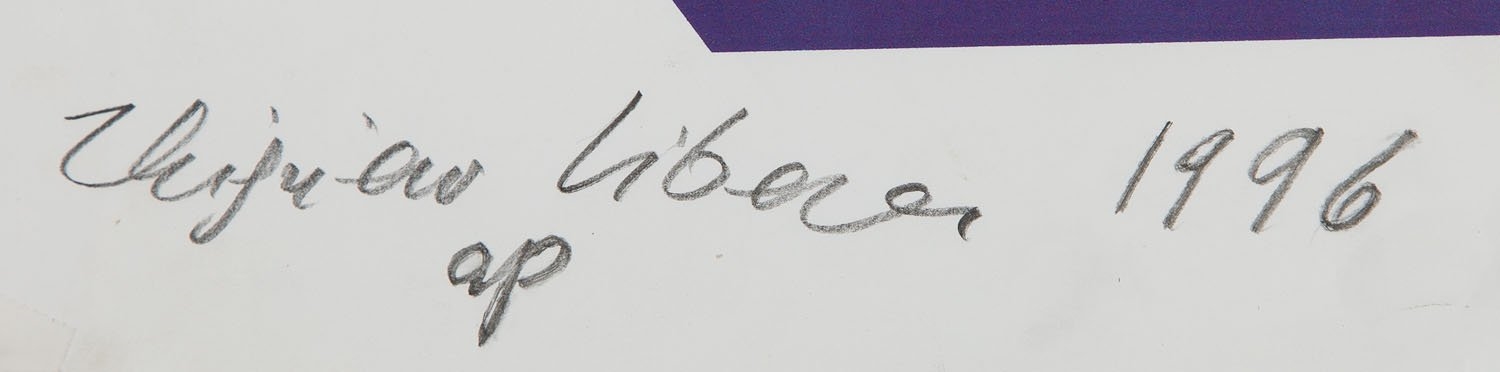 Zbigniew Libera | Lego. Concentration Camp - box 6773 (1996) | MutualArt