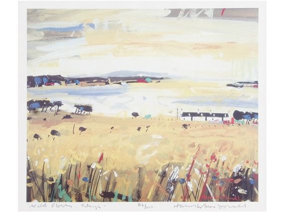 Hamish MacDonald | Wild Flowers, Skye | MutualArt