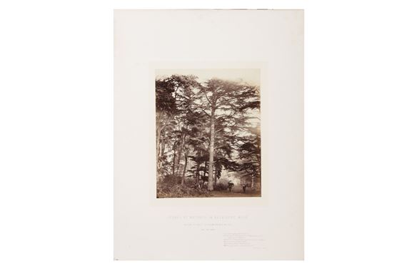 William Bambridge | 4 Artworks | MutualArt